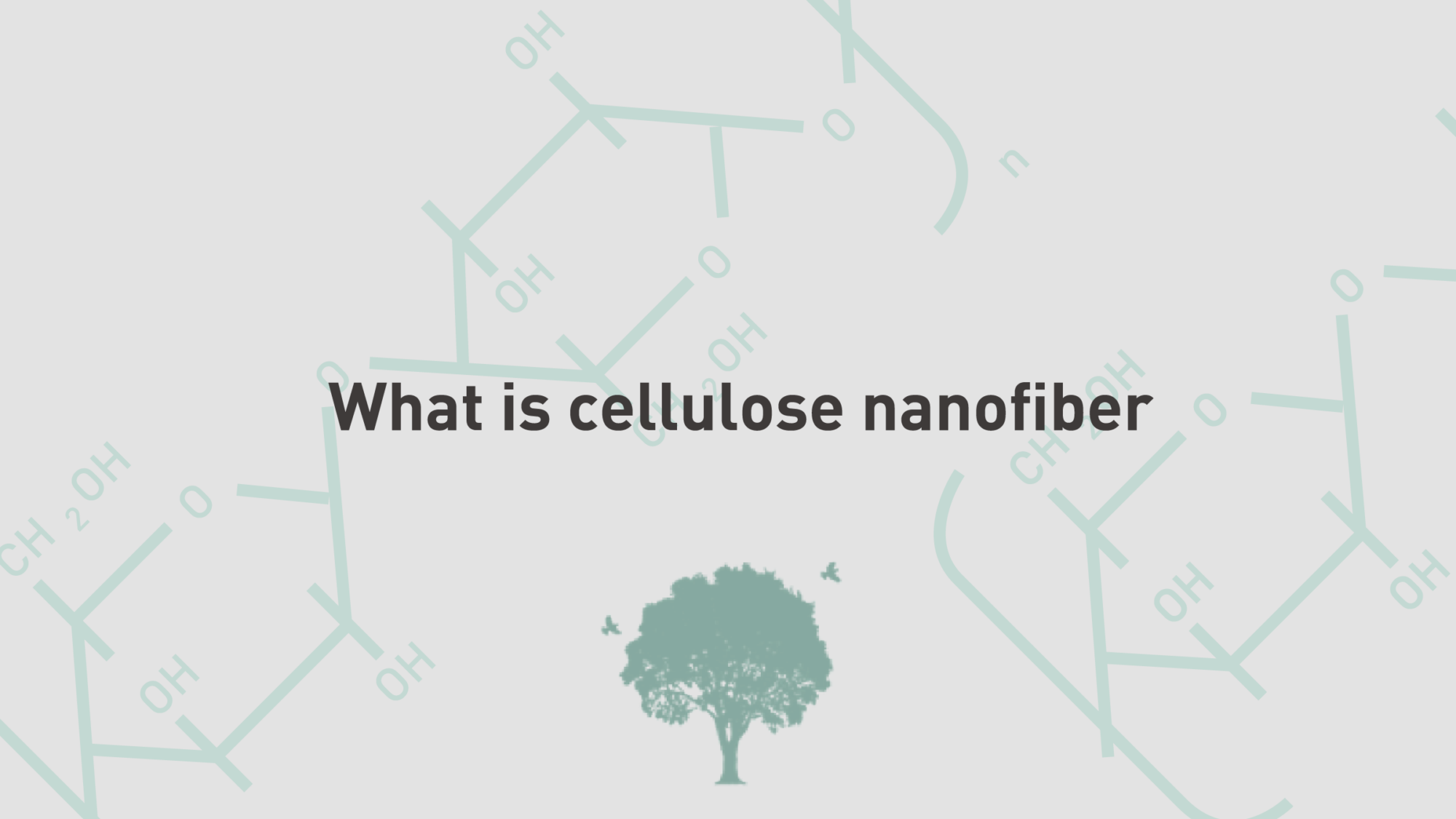 What is cellulose nanofiber | SUGINO MACHINE